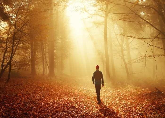 Vivre le deuil ensemble: "Les émotions du deuil, comment les vivre